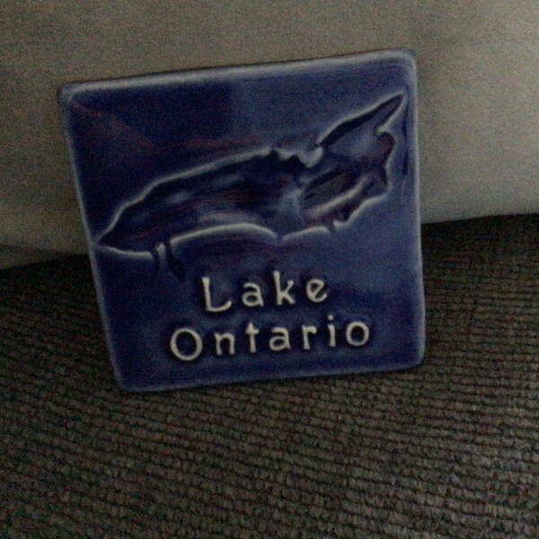 4x4 Pine Trees - Etsy