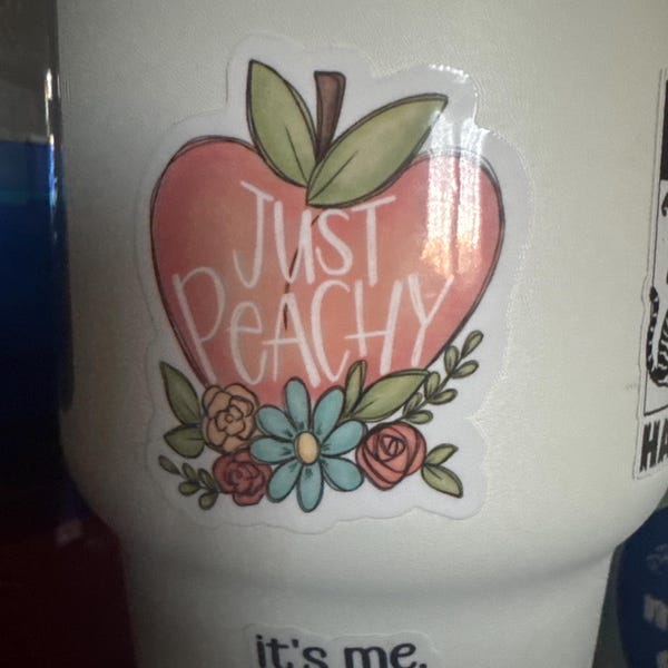 Salt and Light Sticker, Christian Sticker, Bible Verse Sticker, Faith ...