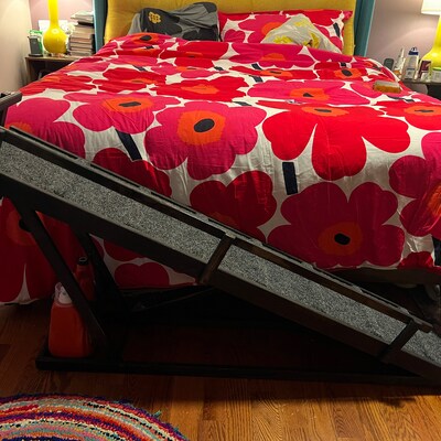 12x56 Adjustable Ramp 2 Side Rails Carpet Traction Bumps Small to ...