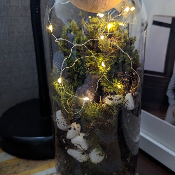Complete Closed Terrarium Kit With Live Plants & Moss – Bioactive ...