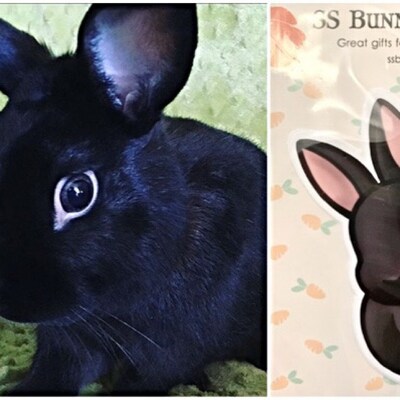 Black Bunny Sticker Black Rabbit Sticker, Black Bunny Gift, Black ...