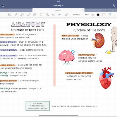 Digital Hyperlinked Notebook, Portrait, Minimal Notebook With Tabs ...