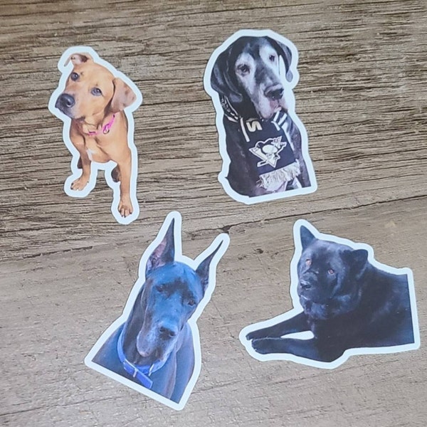 Pet Sticker, Pet Photo Sticker, Dog Sticker, Cat Sticker, Custom Pet ...
