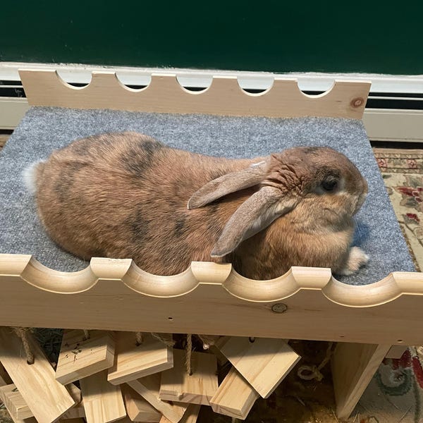 Rolling Bunny Toy - Etsy