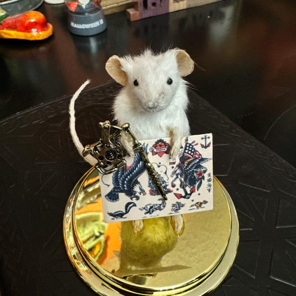 Cowboy Bandit Taxidermy Squirrel Western Country Finger Guns - Etsy