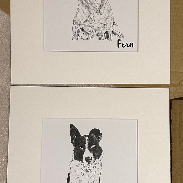 Personalised Pet Sketch, Custom Animal Drawing, Bespoke Portrait, Dog ...