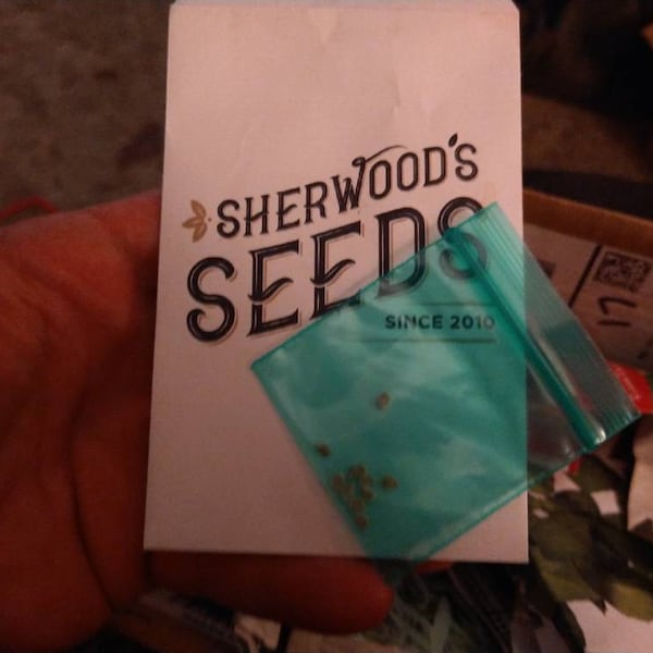 Black Sea Man Heirloom Tomato Premium Seed Packet - Etsy