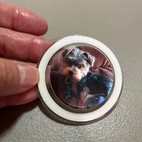 Corgis Butt Funny Dog Skin for Popsocket Round Skin Tablet Grip Stand ...