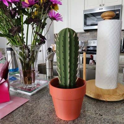 3D Printed Cactus Toothpick Holder Spring Mechanism to Extend ...