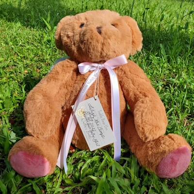 Teddy Bear Urn Custom Ribbon Urns for Human Ashes Huggable Urn Urn for ...
