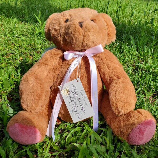 Teddy Bear Urn Custom Ribbon - Urns for Human Ashes - Huggable Urn ...