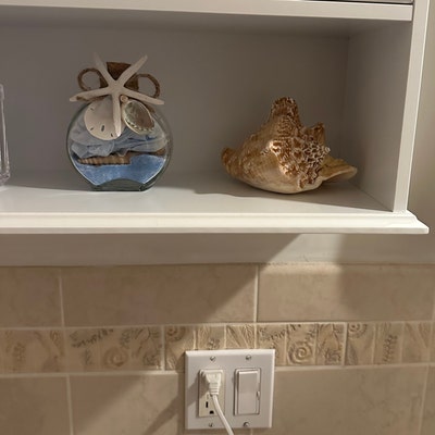 HUGE Vintage White Lightning Whelk Conch Seashell X-large - Etsy