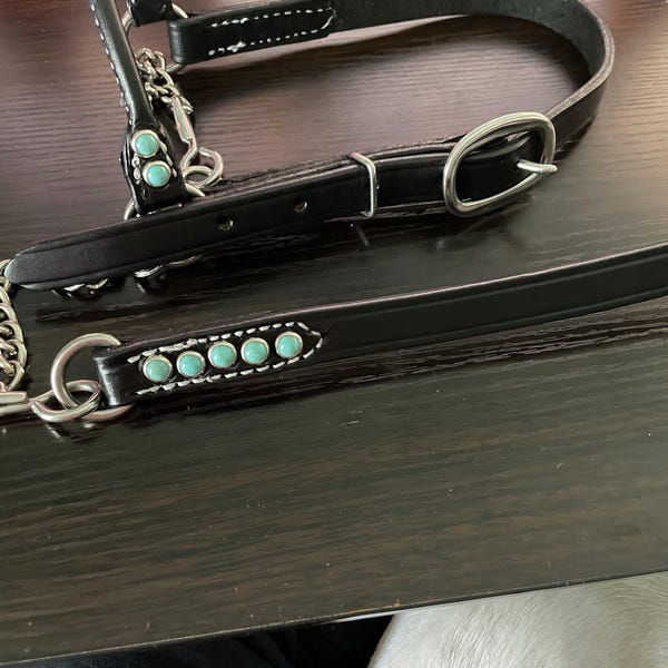 Best Custom Goat Show Leads - Etsy