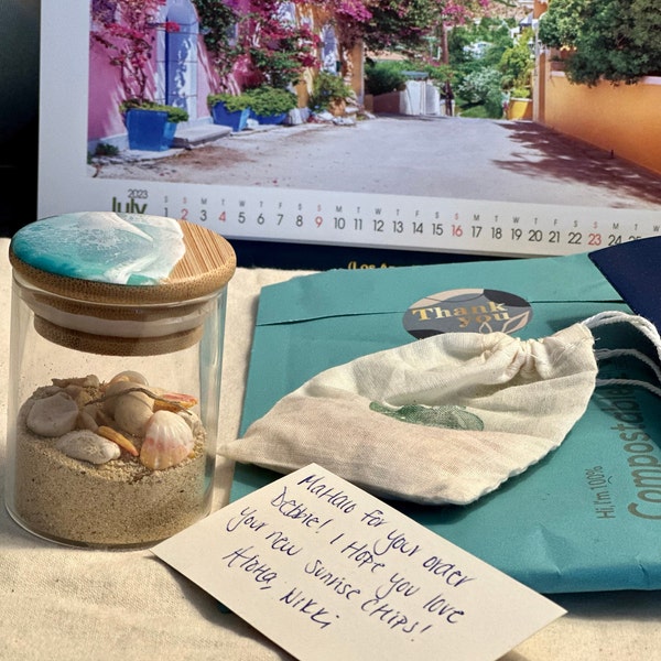 Large Hawaiian Cone Shells Abbreviated Cone Golden Yellow Cat Cone ...