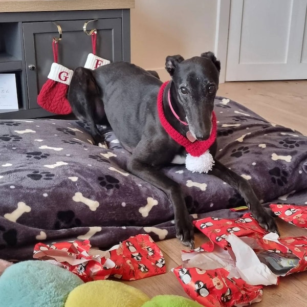 Christmas Dog Scarf With Pompom - Available in 4 Colour Schemes - Santa ...