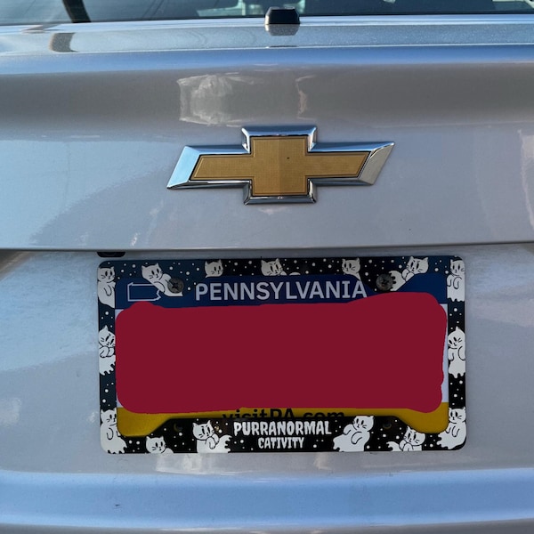 Opossum License Plate, Possum Car Decor, Funny Car Accessories for Men ...