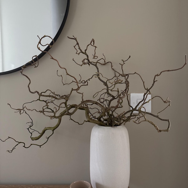 Real Decorative Dried Corylus Branches Wabi Sabi Twigs for Vase ...
