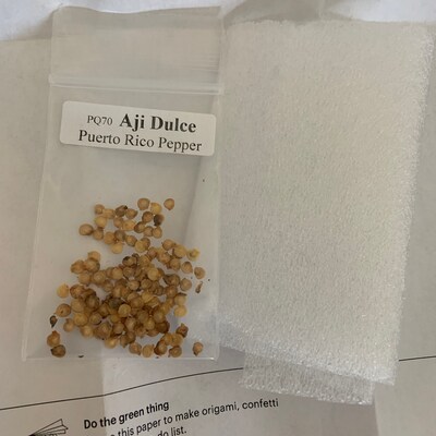 50 Aji Dulce Puerto Rico Rainbow Pepper Seeds Ajicito, Ajíes, Ají ...