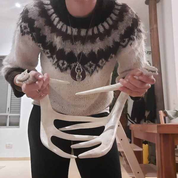 Natural Webbed Antlers (large) - Etsy