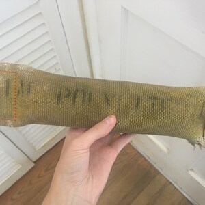 Squeak Squeak Dog Toy Sustainably Made Utilizing 100% Real | Etsy