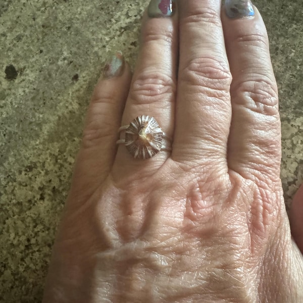 Kauai Opihi Shell Cocktail Ring in 14k Gold Fill or Sterling Silver - Etsy