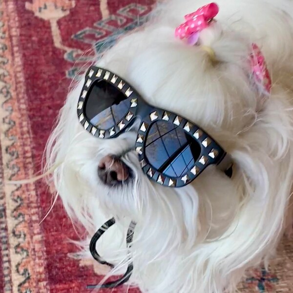 Hello Henri Large Mauve Studded Shades - Etsy