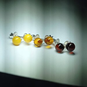 Unique Color Amber Souvenir Stone, Genuine Untreated Natural Baltic ...