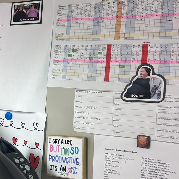 Ozark Quotes, Ozark Magnet, Ozark Sticker, Ruth Langmore, Marty Byrde ...