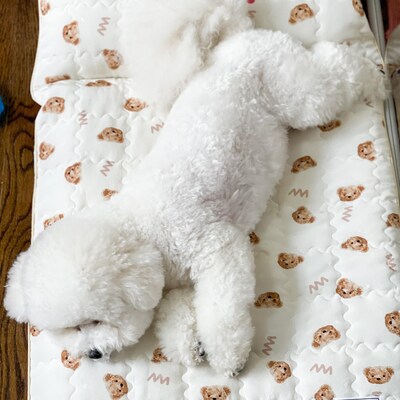 Dog Summer Cooling Mat, Vegan Rayon Silk, Non Slip Mat, Dog Mat, Dog ...