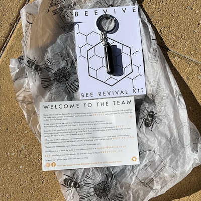 The Original Bee Revival Kit Black Edition - Etsy