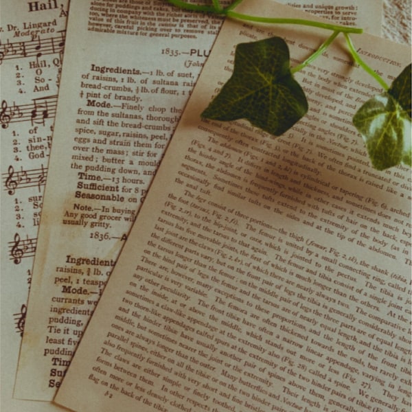57 Vintage Style Book Pages - Paper Material Reproductions for Paper ...