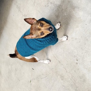 Dog Harness / Dog Collar / Cat Harness / Knitted Harness / - Etsy