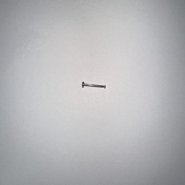 316 Stainless Steel Labret Style Nose Ring Monroe Stud Threadless Push ...
