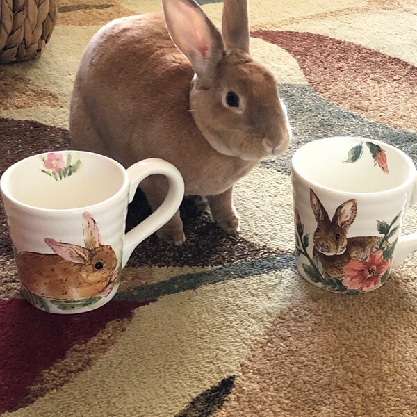 Steinbach Handmade Germany 16 Balthasar Wisemen Series Nutcracker LTD ...