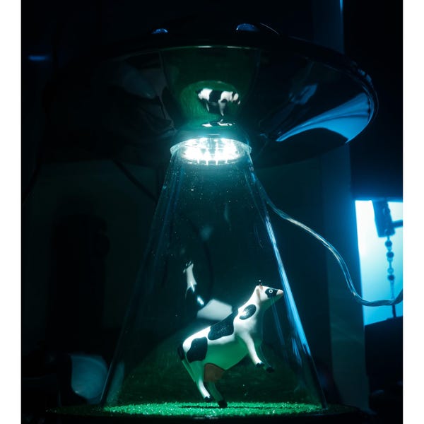 The Original Alien Abduction Lamp - UFO Cow Flying Saucer LED Night ...