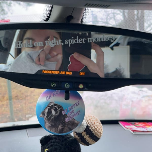 Hold on Tight, Spider Monkey - Twilight Visor Mirror Vinyl Decal - Etsy