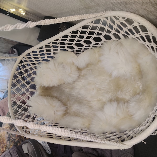 Full Hide Natural Goatskin Parchment, Genuine Goatskin,parchment ...