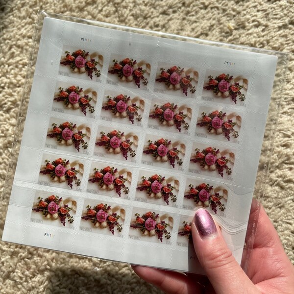 Litter or Trash Picker - Trash Nabber - Litter Grabber Free (no Pole ...