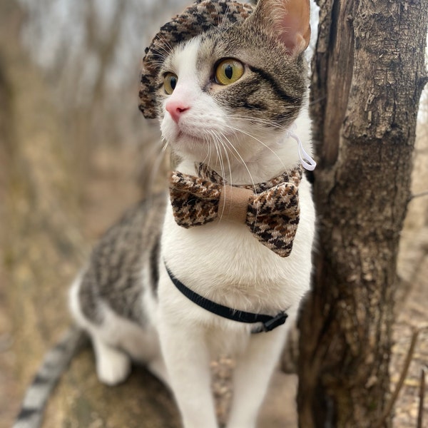 Beret and Cape for Pets, 2 Piece Costume for Cats and Dogs, Pet Cloak ...