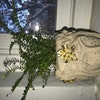 City in the Hands, Concrete Home Decor, Moss Planter, Metropolis ...