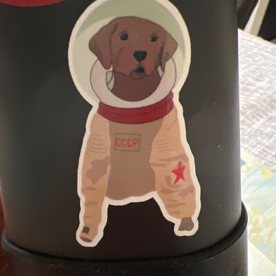 Mini Holographic Weeknd Laminated Sticker Pack/the Weeknd XO Vinyl ...