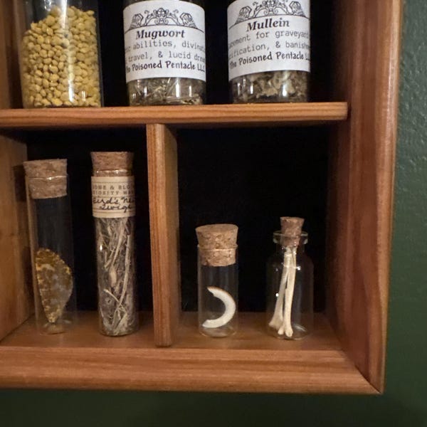 Real Moose Pellet in Glass Vial, Moose Poop, Animal Dung, Weird Gift ...