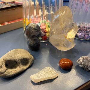 Rare Piece of Pacific Fission Worm Colony, False Brain Coral Rock ...