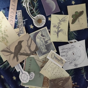 Frogs Ephemera, Junk Journals, Printable Paper Crafts, Scrapbooking ...