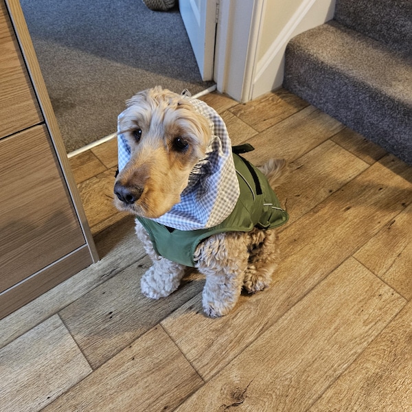 Waterproof Dog Snood | Cocker Spaniel Snood | Basset Hound Snood ...