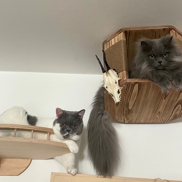 Cat Ceiling Furniture, Wooden Cat Bed, Cat Ceiling Bed, Wood Cat ...