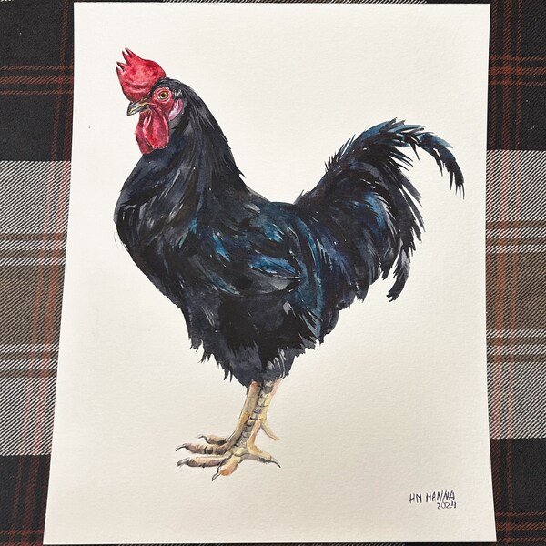 Commission Chicken Portrait, Custom Hen Painting, Rooster Drawing ...