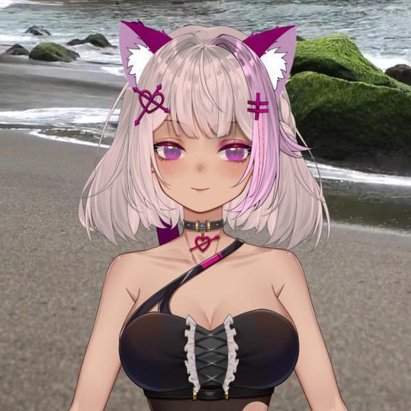 Customizable Live2d Vtuber Model V.2, Premade Vtuber, Fully Rigged, Vtube Studio, Commercial Use ...