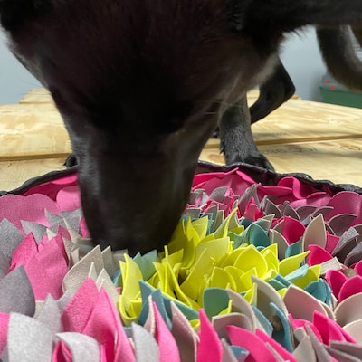 Snuffle Mat for Dogs and Cats Puzzle Feeder Mat Suede - Etsy