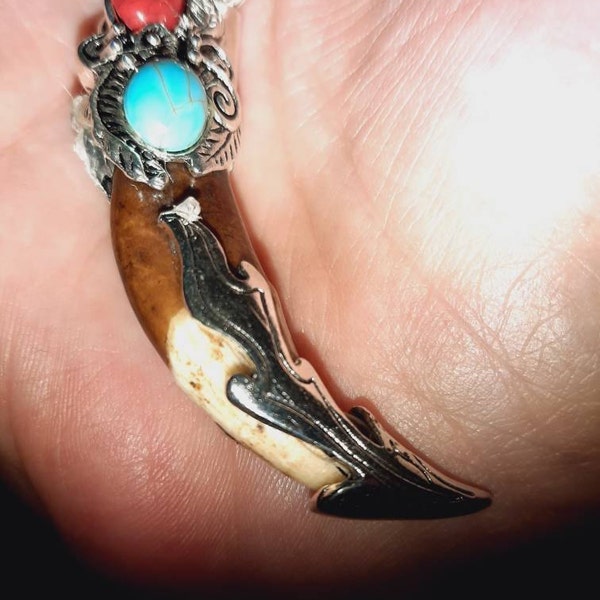 Beautiful Wolf Teeth Pendant. 10x45mm Teeth Shape Pendant. Gorgeous ...